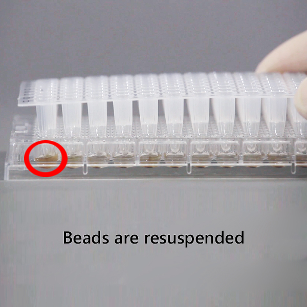 Unlocking Hidden Proteins. Expand Possibilities. Accelerate Discovery ...